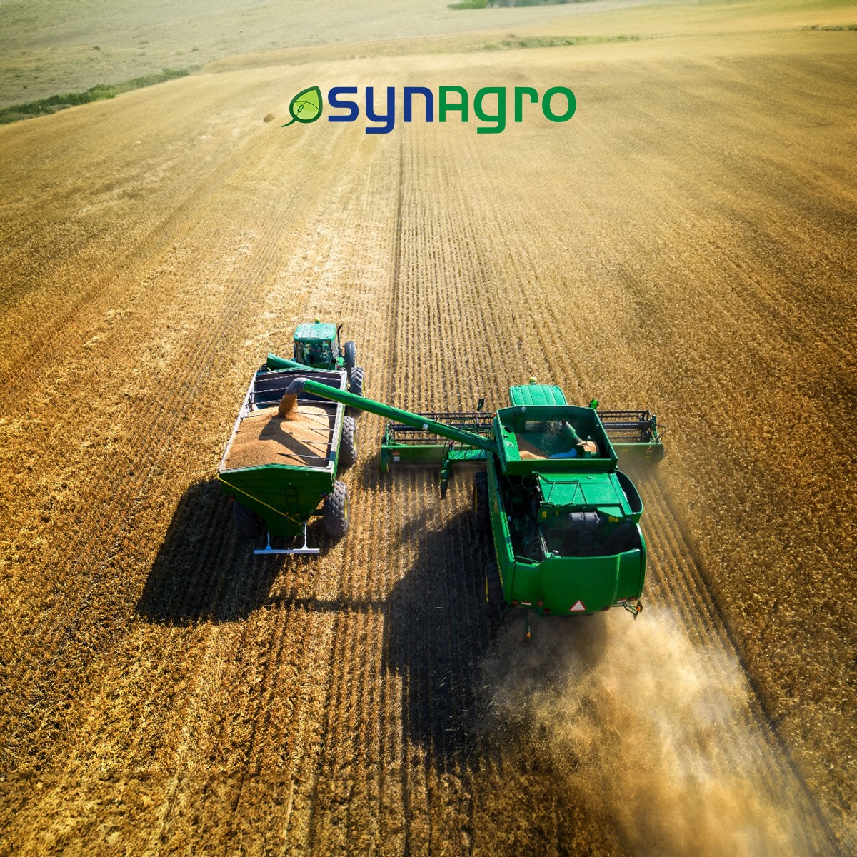 Experiencia Synagro: Todos los cursos | Experiencia Synagro